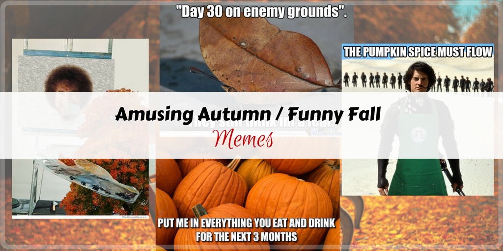 Amusing Autumn Memes plus Friday Frivolity - Munofore