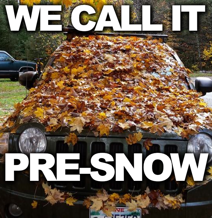 Amusing Autumn Memes plus Friday Frivolity - Munofore