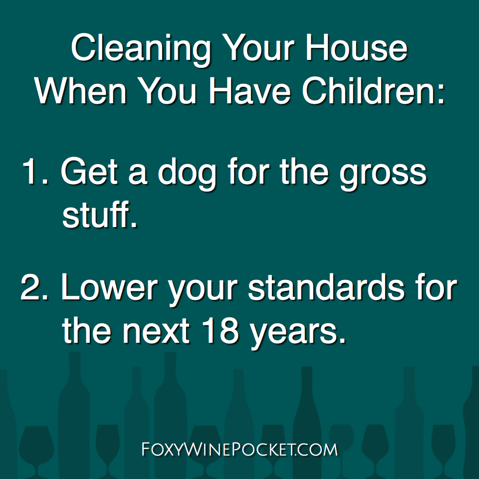 Why Clean House When You Can Read Funny House Cleaning Memes? - Munofore