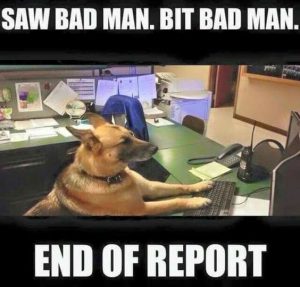 Dogs at Work Memes #FridayFrivolity - Munofore