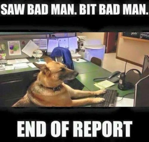 Dogs at Work Memes #FridayFrivolity - Munofore