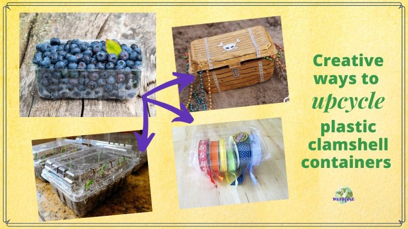 Awesome Ways to Reuse Plastic Fruit Containers - Munofore