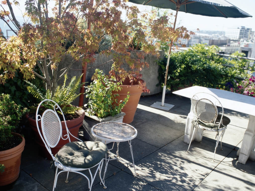 Easily Transform Your Patio with these 8 Plants - Munofore