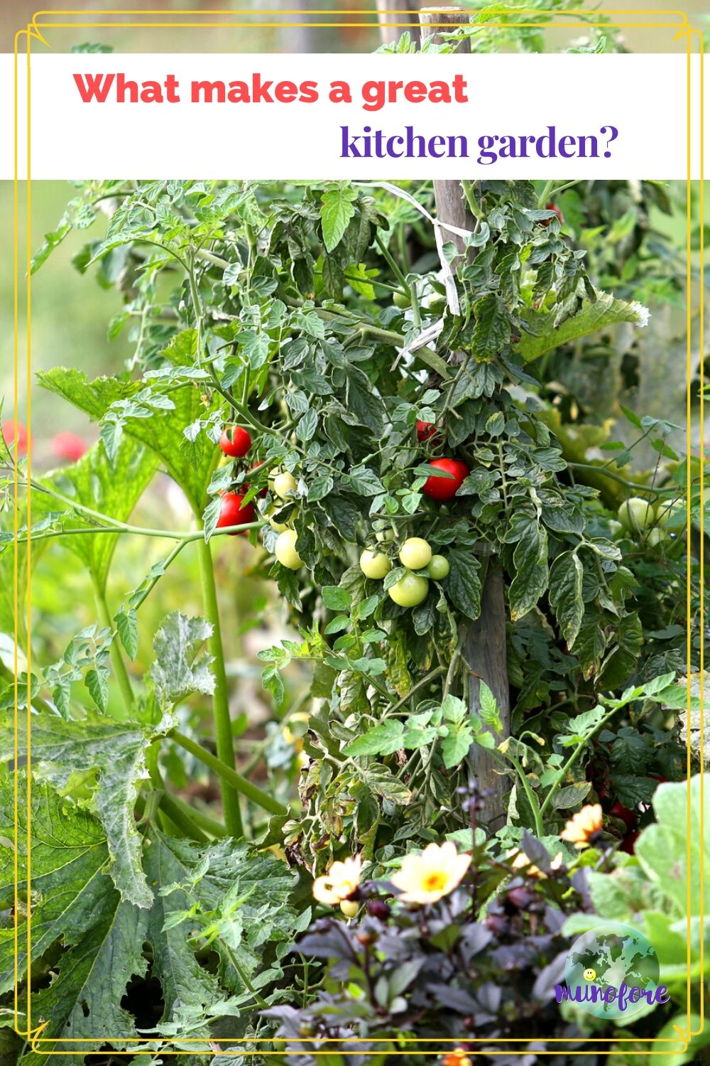 What is a kitchen garden and why do you want one? - Munofore